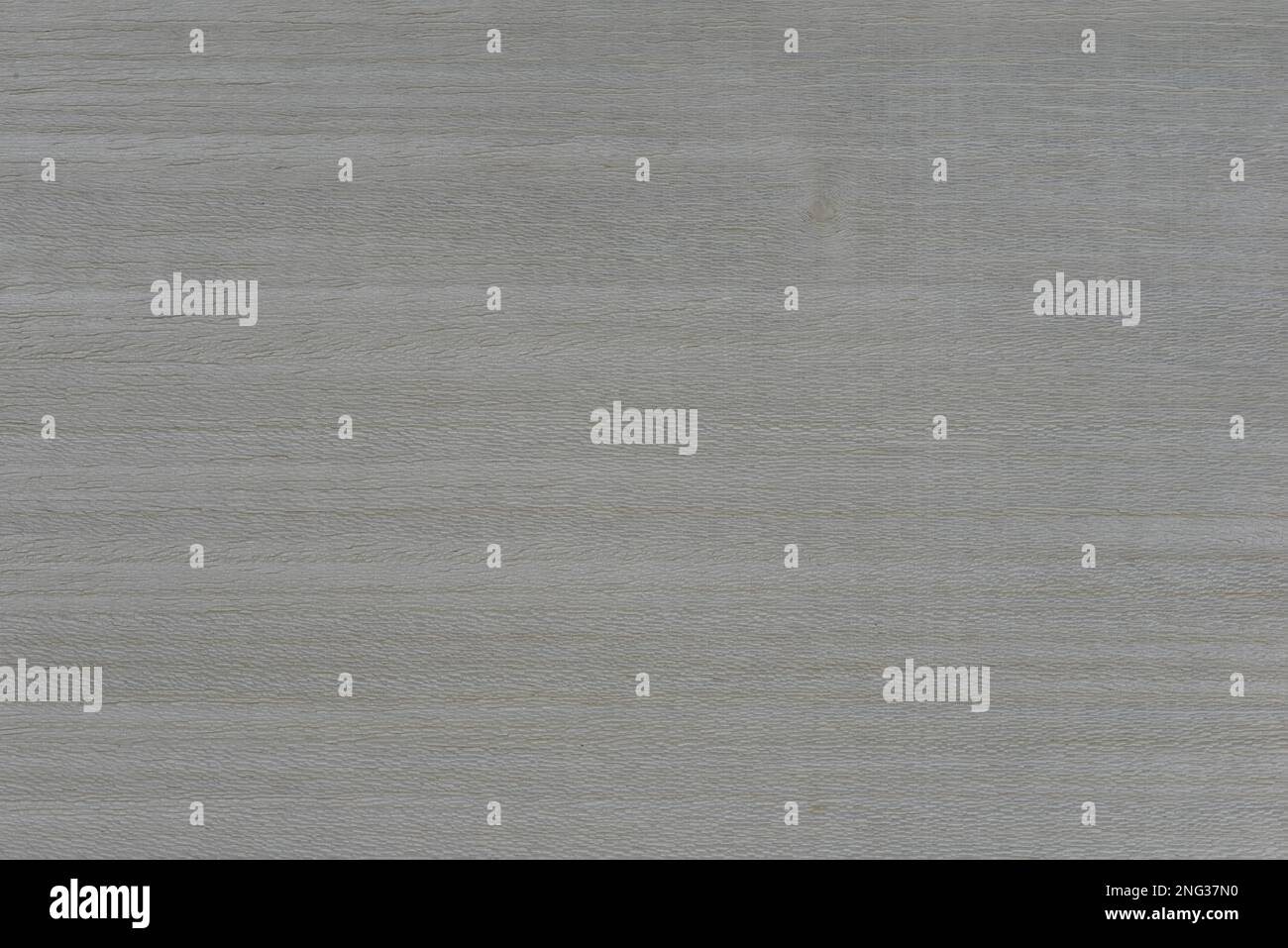 Texture of silver wood. Texture of koto wood with a silvery white tint ...