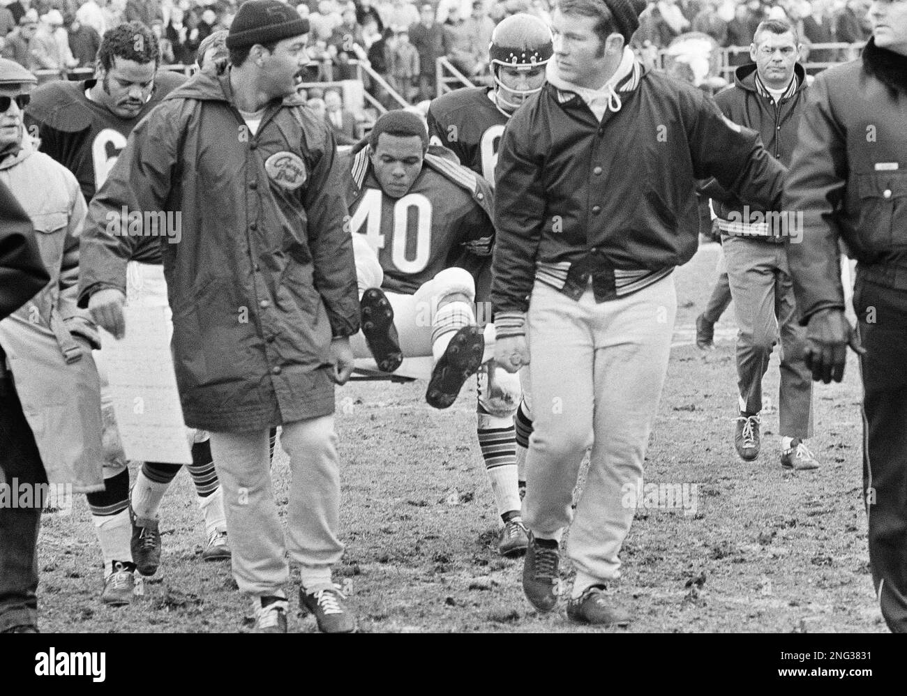 Chicago Bears running back Gale Sayers is carried from the field to an ...