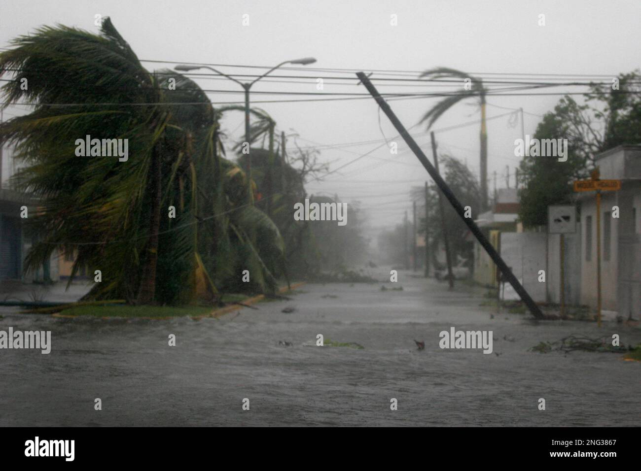 A flooded street with palm trees fighting Hurricane Dean's strong winds ...