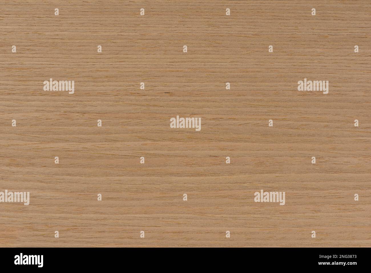 Natural oak texture. Wood texture. Oak board for furniture production ...