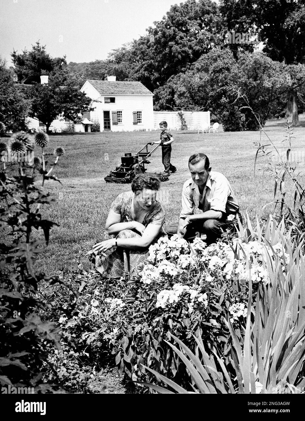 CBS news commentator Edward R. Murrow works with his family in their ...