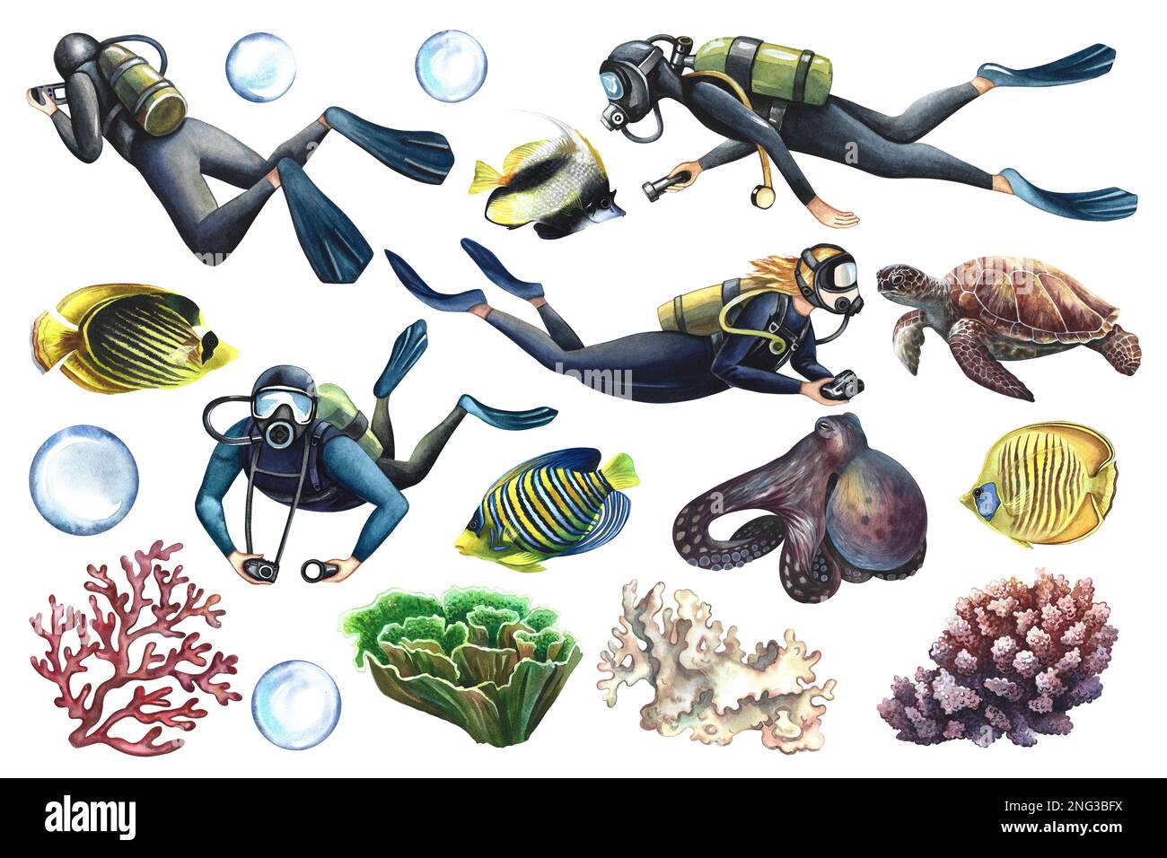 Diving. Set with Divers, sea fishes and animals, corals. Underwater ...
