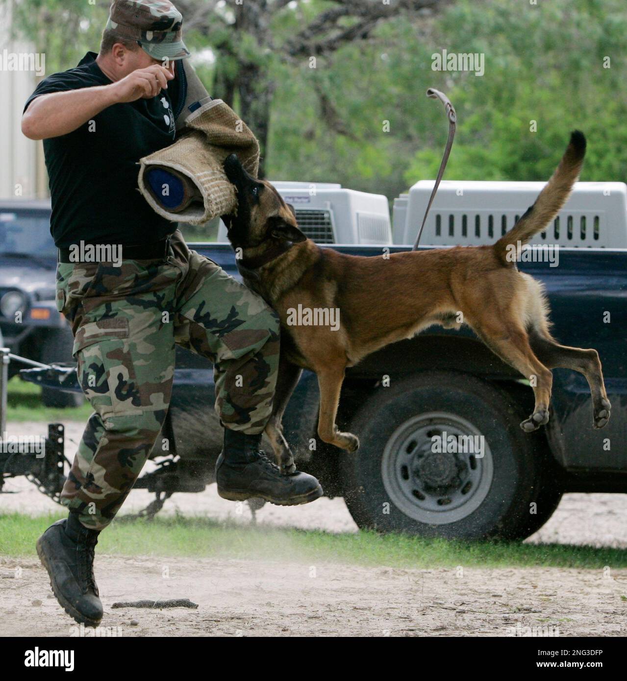 Dog handler Staff Sgt. David Adcox works with military dog Roy during ...