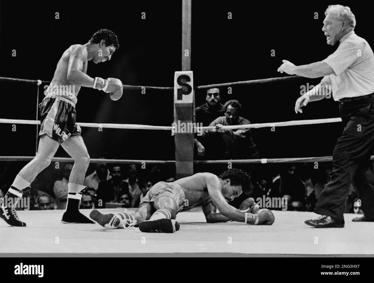 World Boxing Council Super Bantamweight champion Wilfredo Gomez stands ...