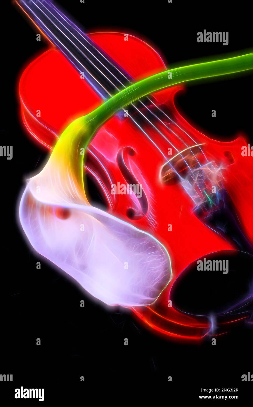 Unique violin hi-res stock photography and images - Alamy