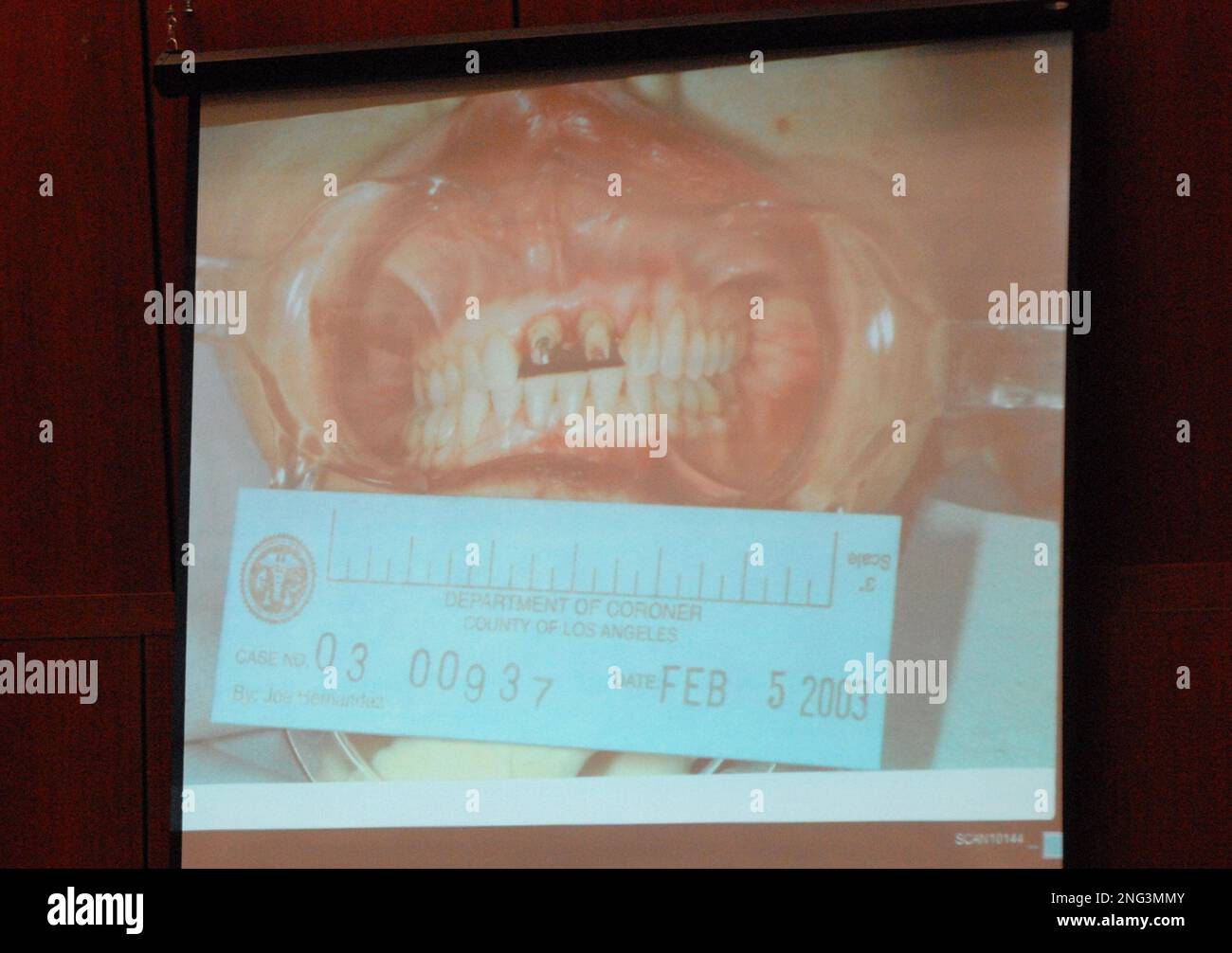 Phil Spector Lana Clarkson Crime Scene Photos