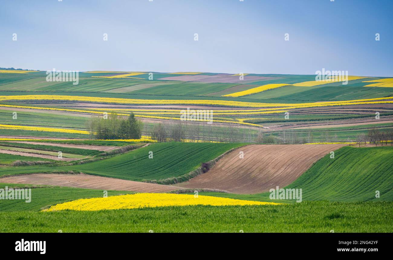 Green hills and sun illuminating the fields hi-res stock photography ...