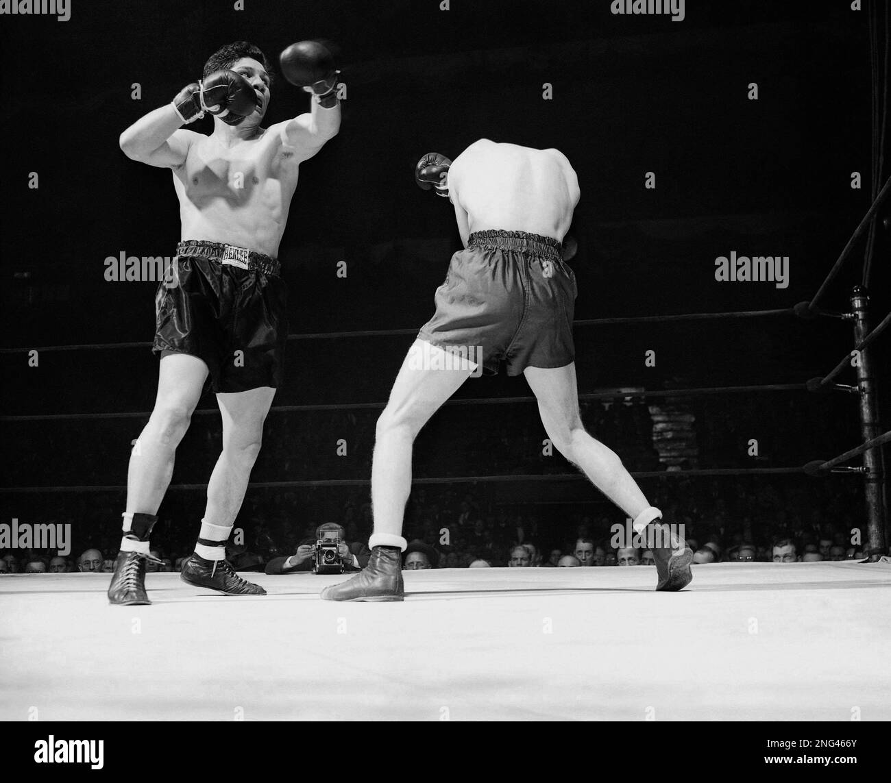 Action boxing glove aggression challenge competition boxing ring boxer ...