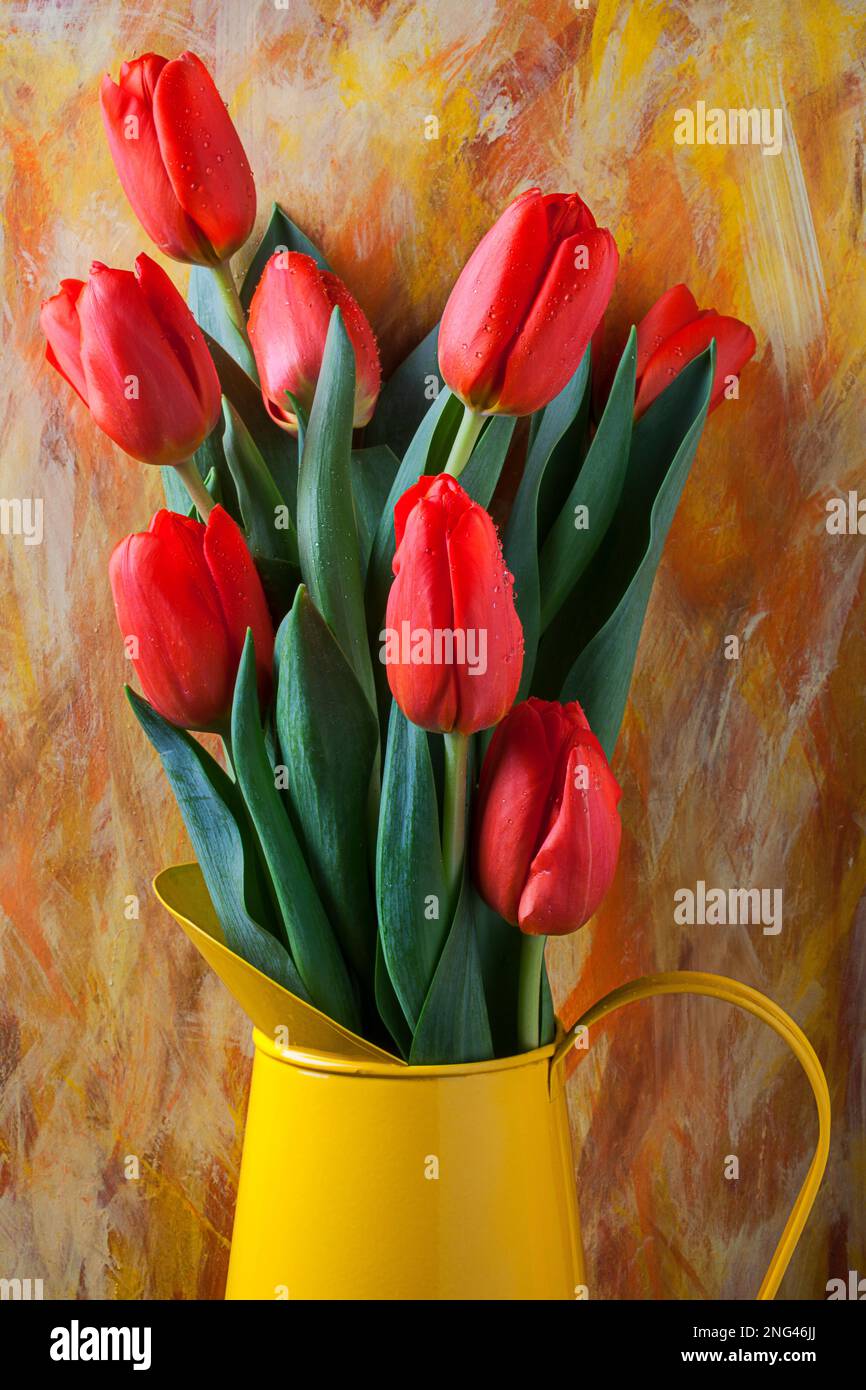 Orange yellow ranunculus hi-res stock photography and images - Alamy