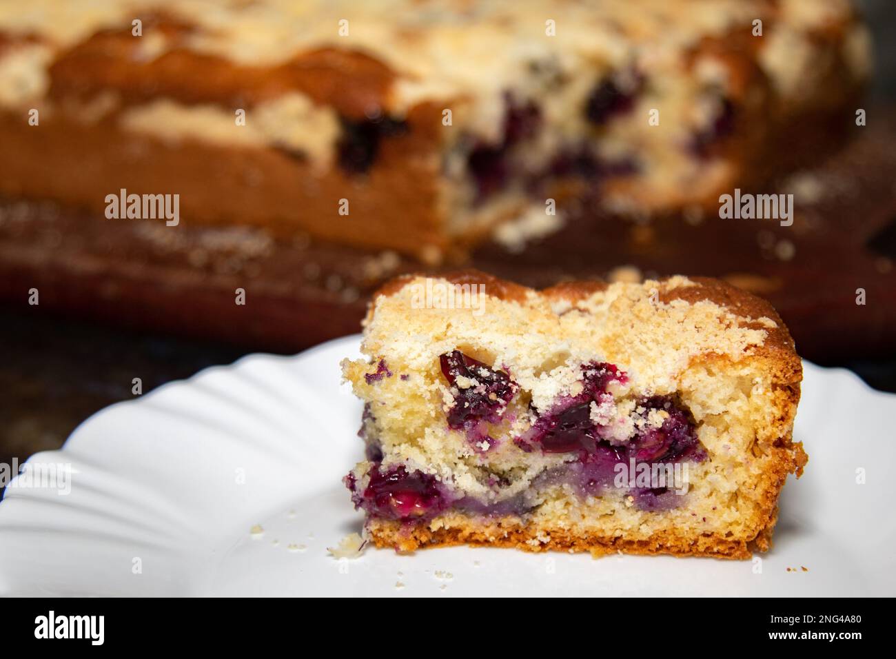 Classic black grape cake (Isabel burgundy variety) known as "cuca de ...