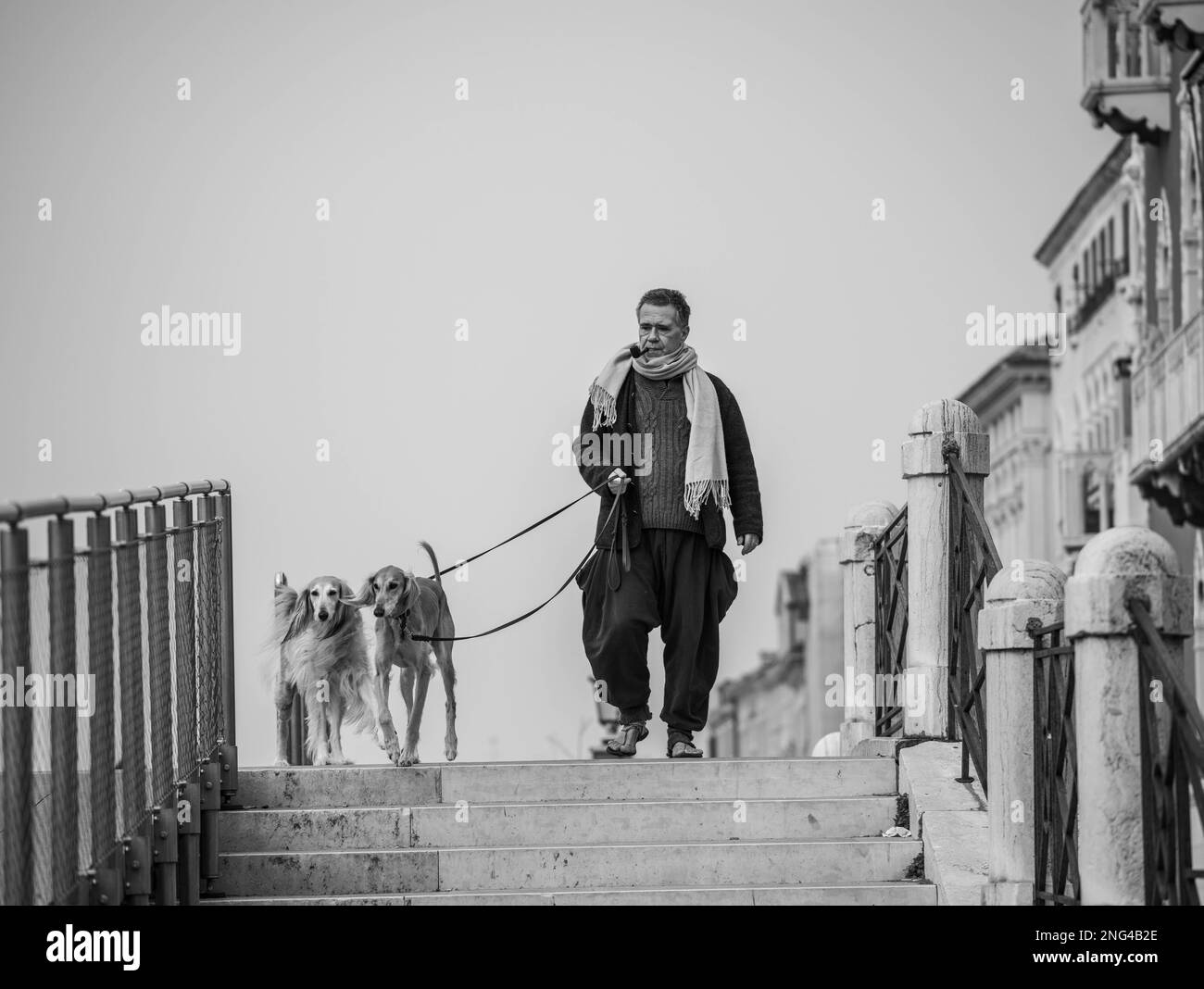 Walking dog Black and White Stock Photos & Images - Alamy