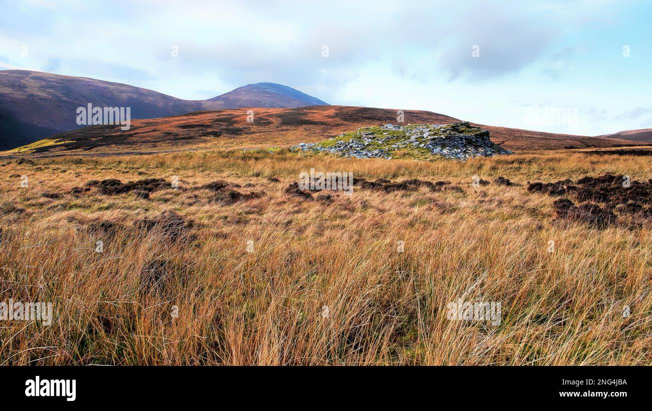 Ruadh hi-res stock photography and images - Alamy