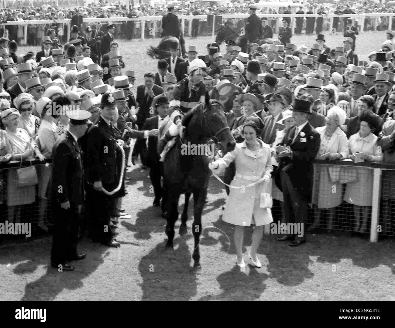 British jockey Lester Piggott riding 'Sir Ivor', is led into the winner ...