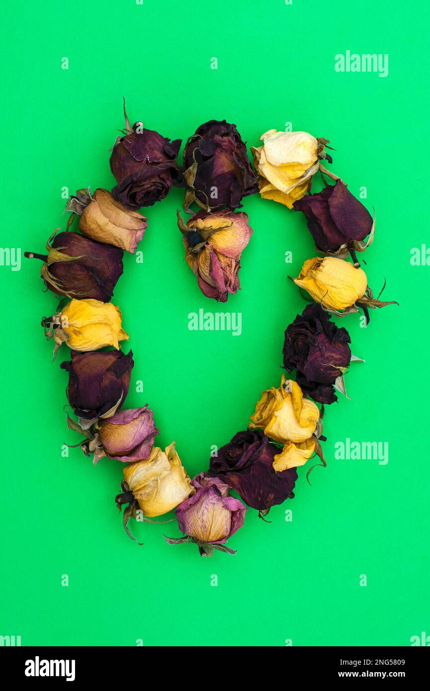 Heart shaped roses wilting on green backdrop Stock Photo - Alamy
