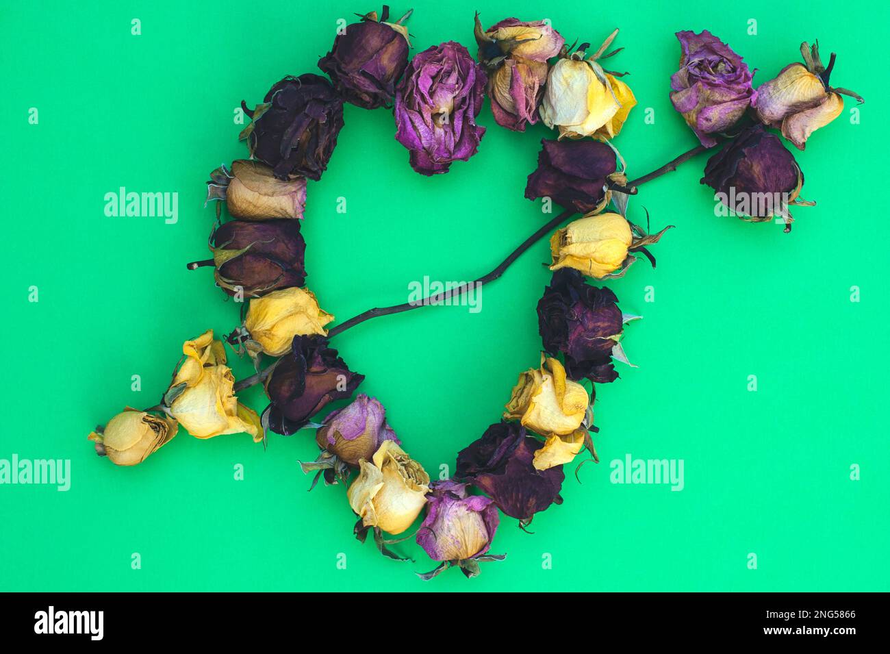 Heart shaped roses wilting with arrow through the heart Stock Photo - Alamy