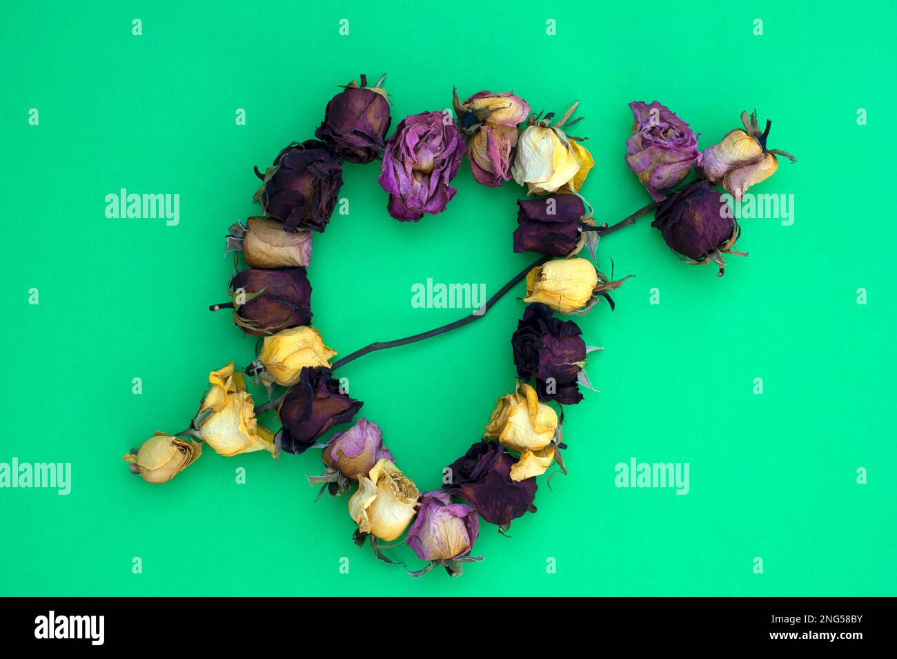 Heart shaped roses wilting with arrow through the heart Stock Photo - Alamy