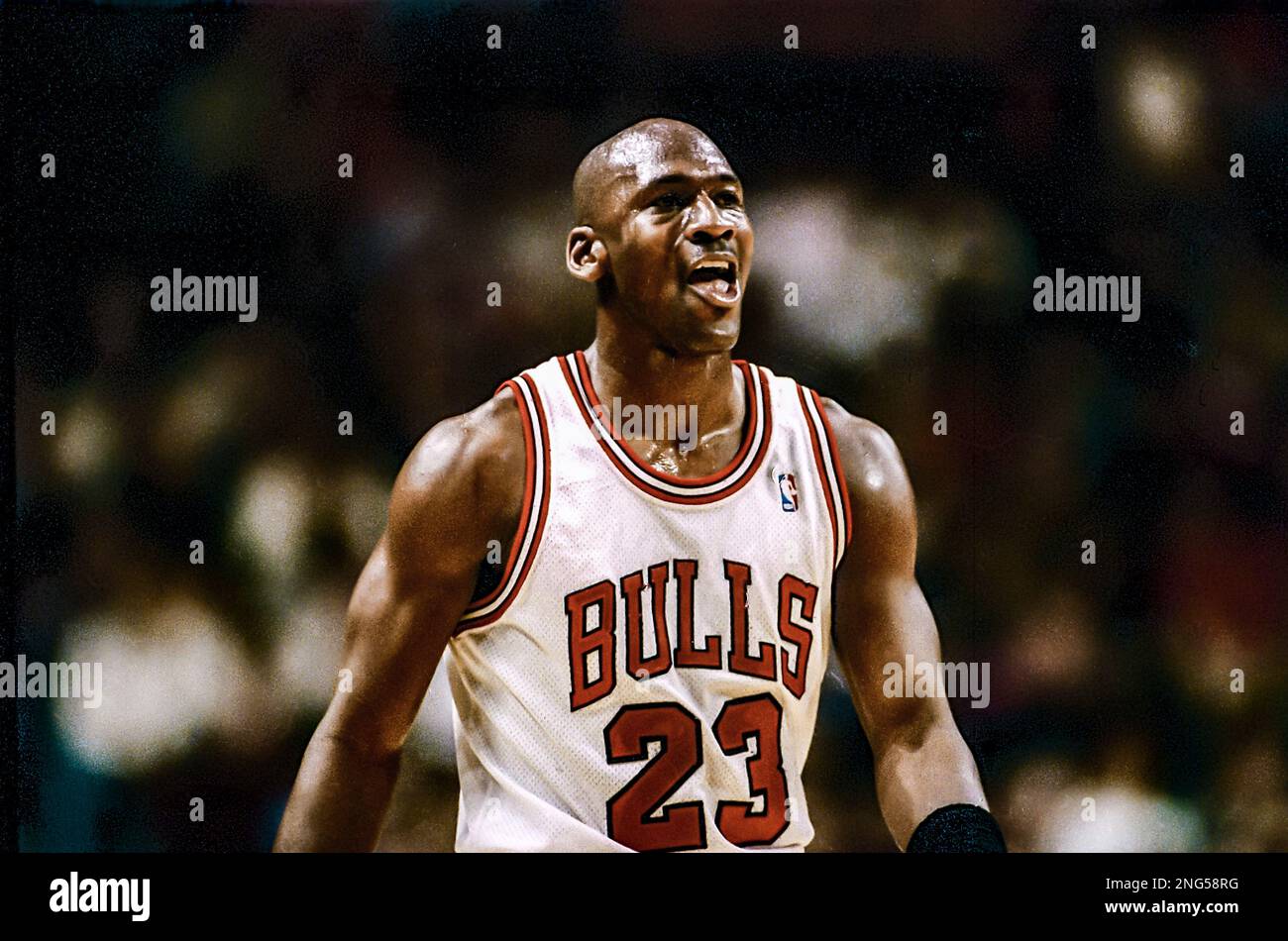 Basketball NBA Michael Jordan, Chicago Bulls in 1995 Stock Photo - Alamy