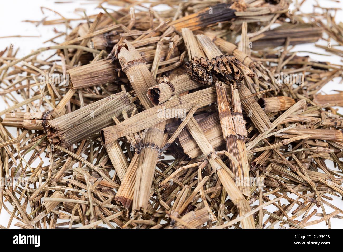 Dried Medicinal Herb - Horsetail; Photo White Background Stock Photo ...