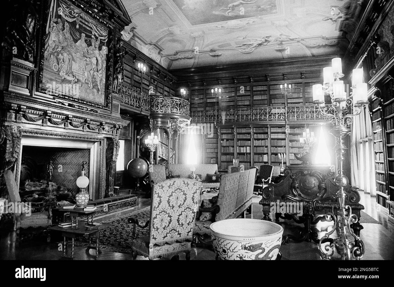 Biltmore Estate Library Ceiling