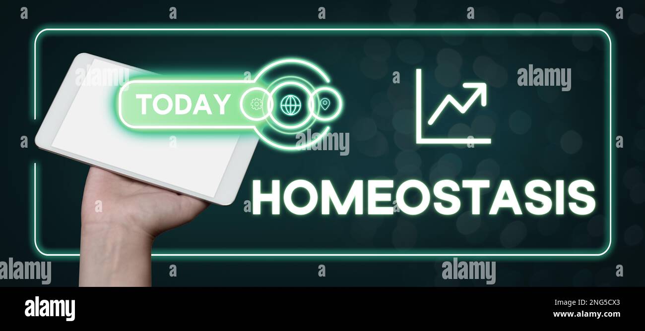 Inspiration showing sign Homeostasis. Business overview the tendency ...