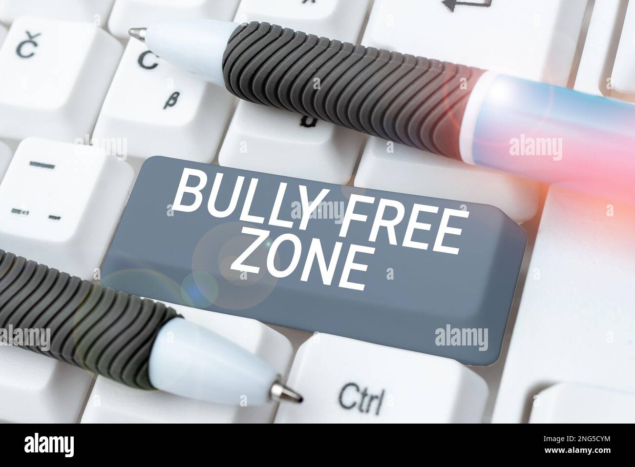 Sign displaying Bully Free Zone. Business idea Be respectful to other ...