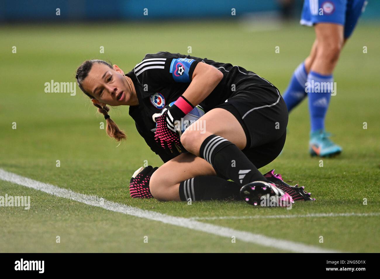 Christiane Endler of Chile Women's National soccer team seen in action ...