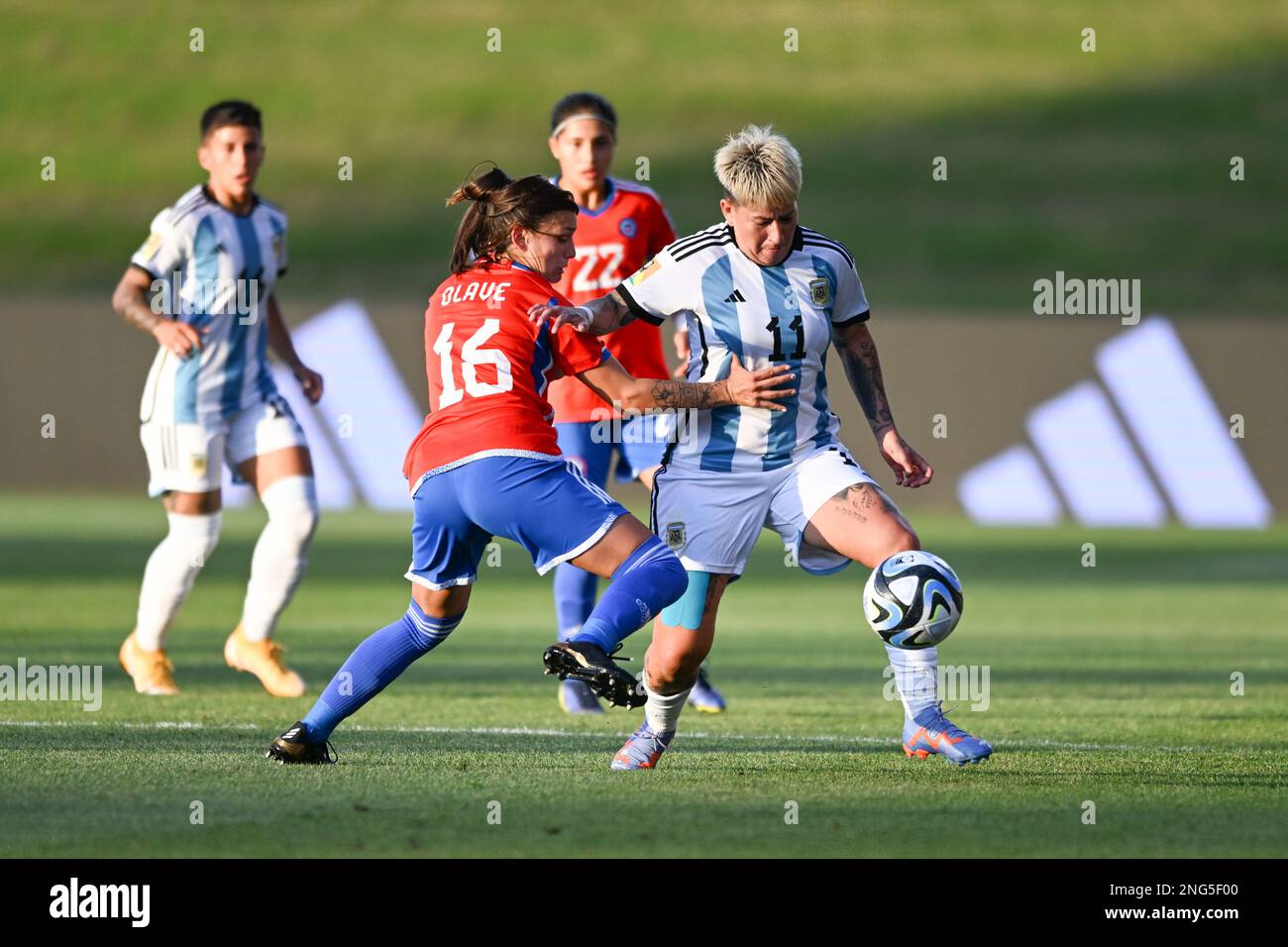 Isidora olave hi-res stock photography and images - Alamy