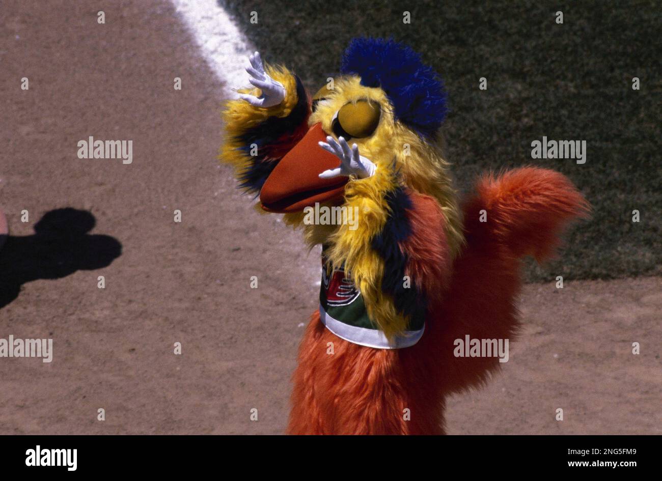 Padres Mascot Chicken