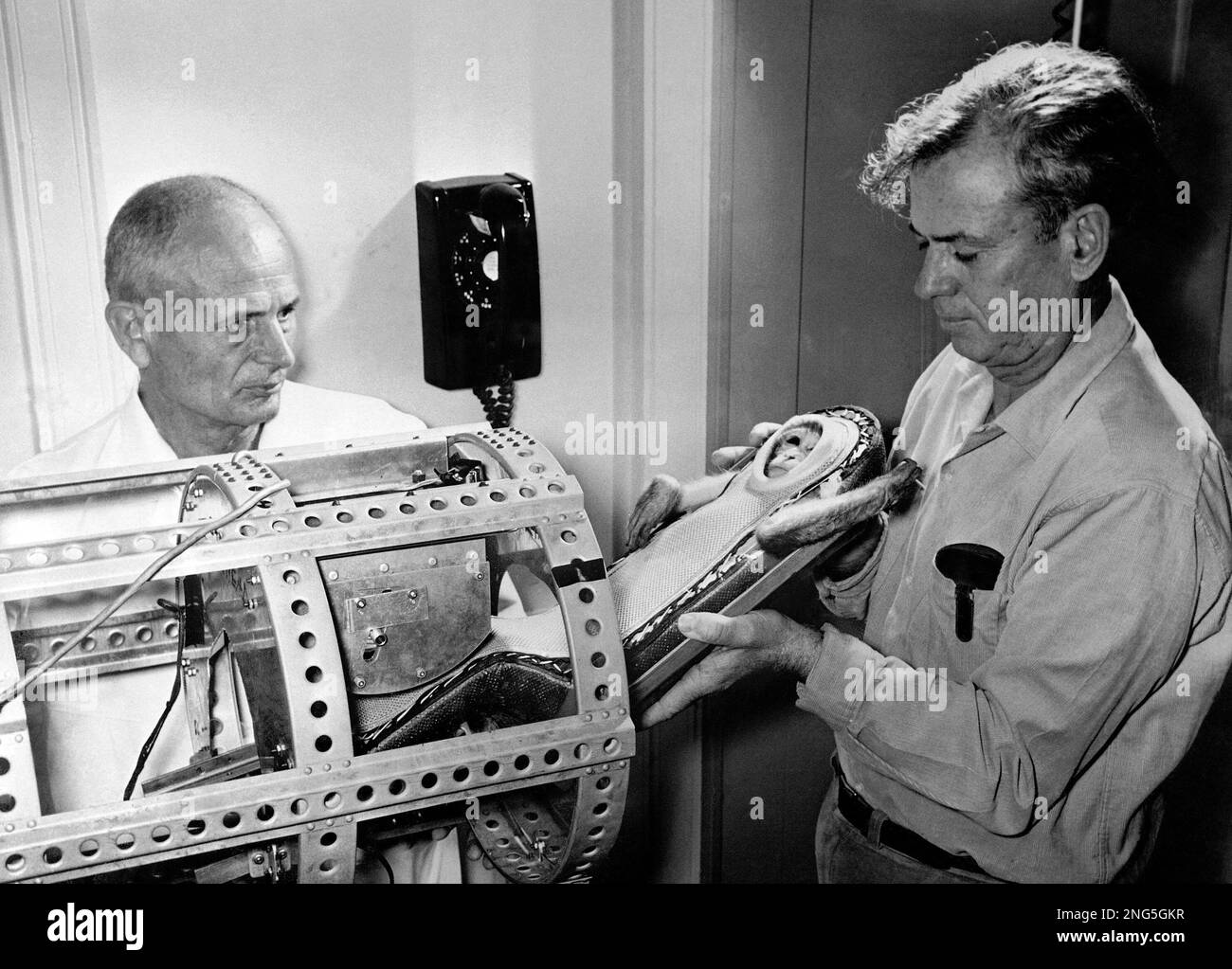 Photo provided by NASA in Washington shows a monkey named Sam as he is ...