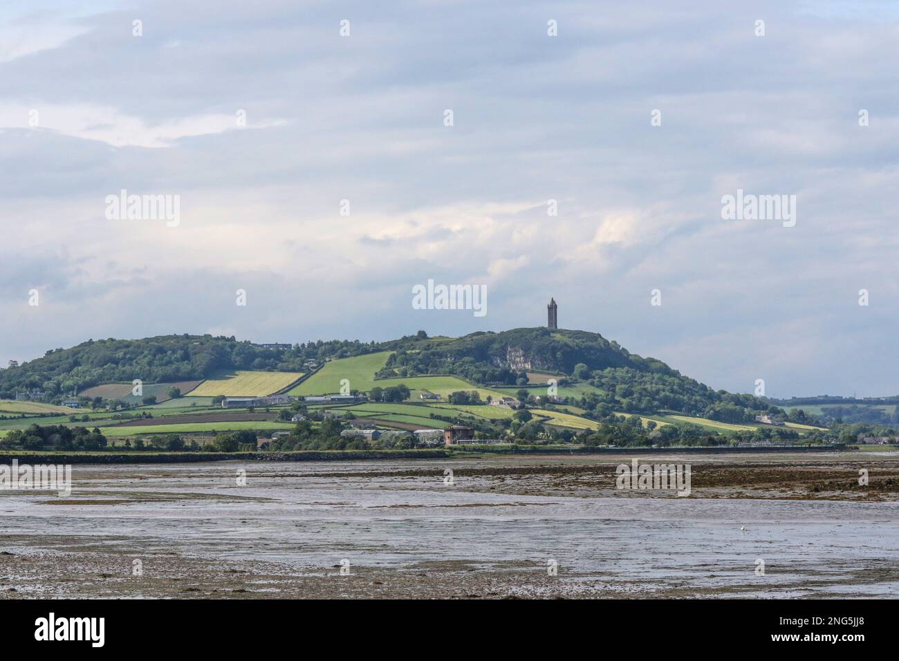 June strangford lough hi-res stock photography and images - Alamy