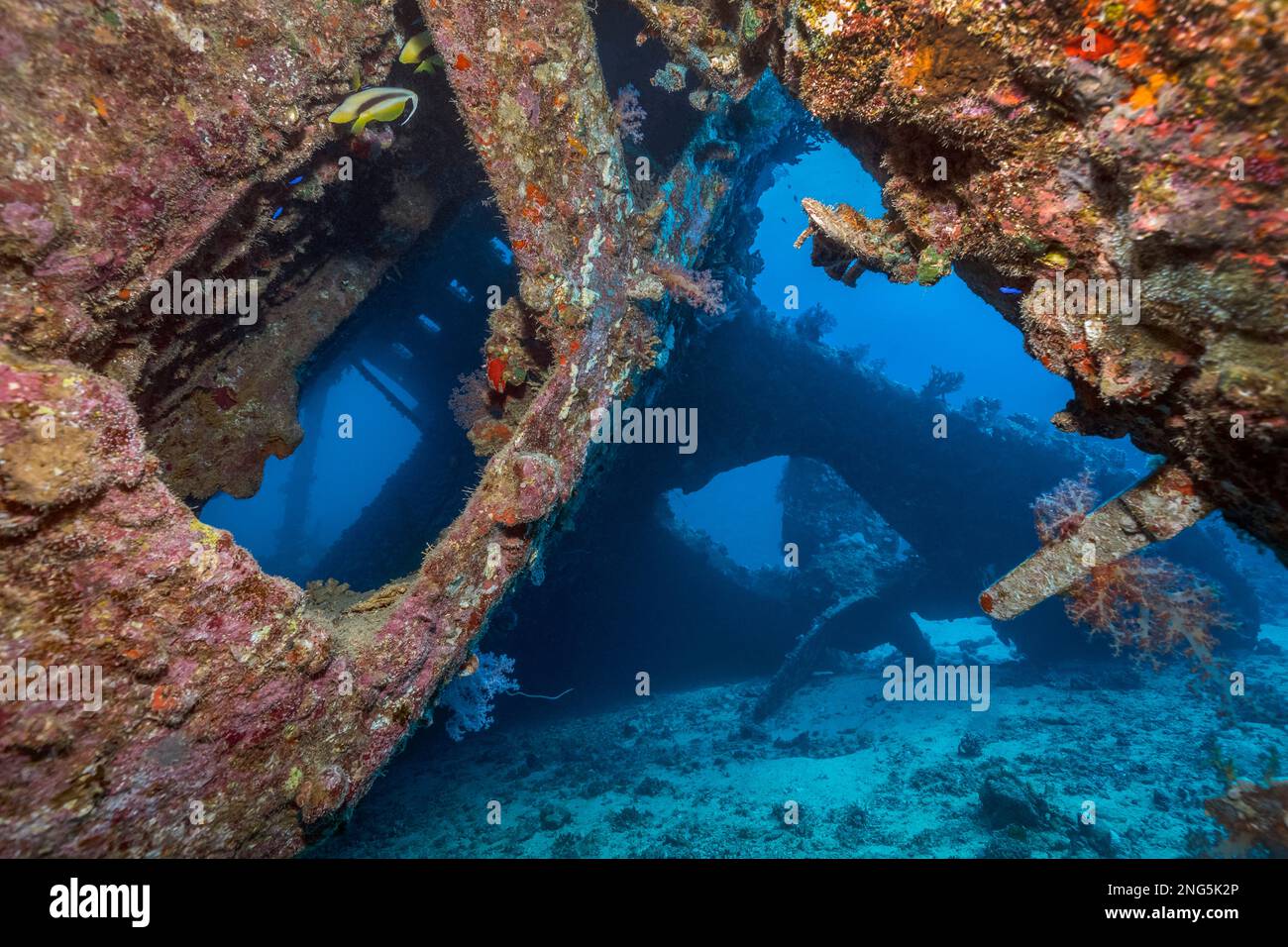 SS Carnatic shipwreck, Shaab Abu Nuhas, El Gouna, Egypt, Red Sea ...