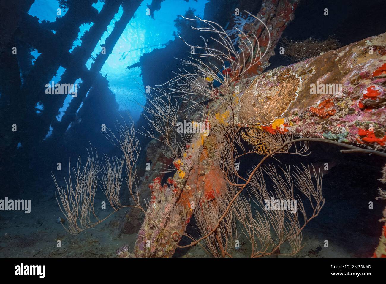 Gubal islands hi-res stock photography and images - Alamy