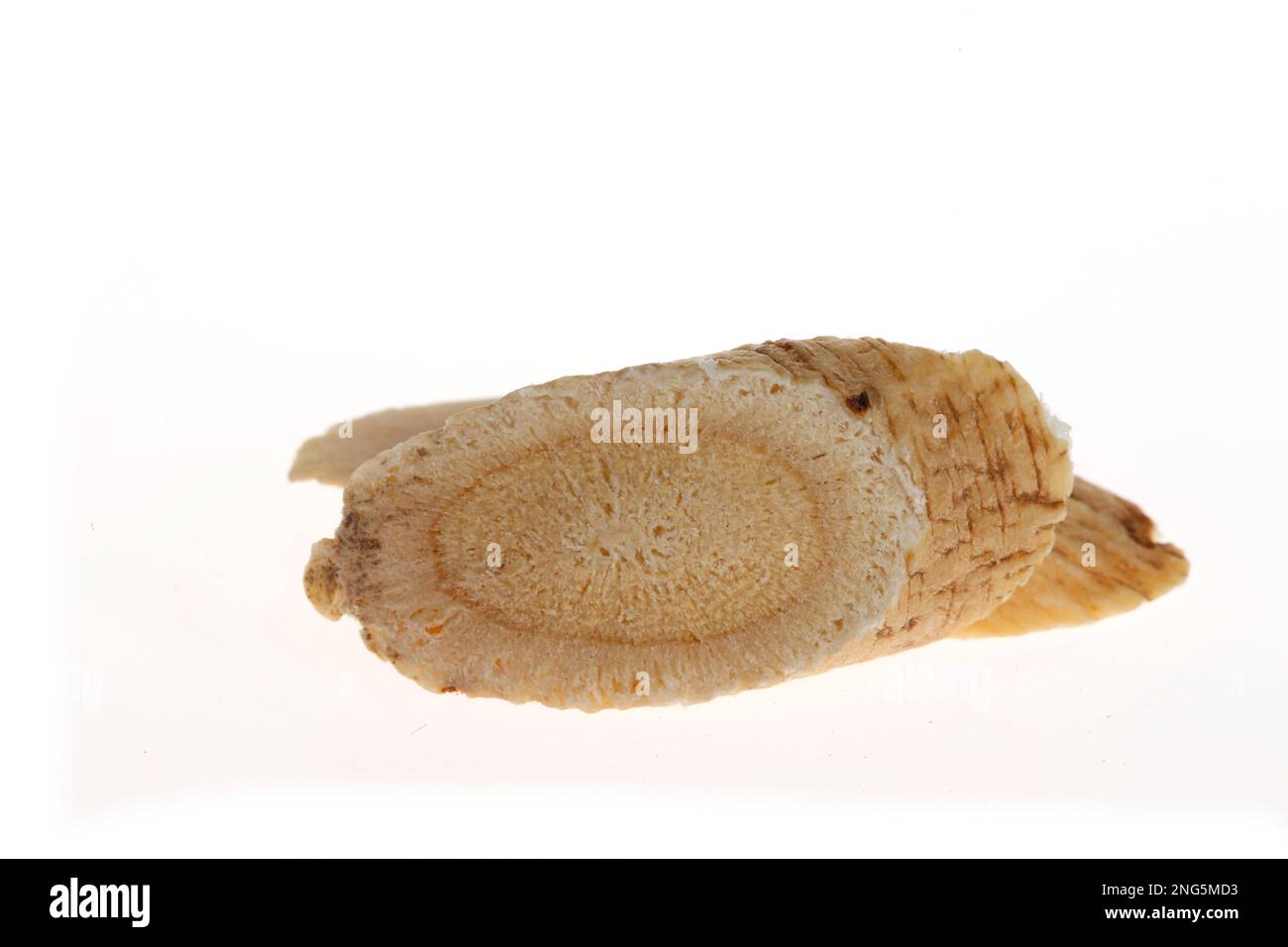Chinese herbal medicine astragalus membranaceus on a white background ...