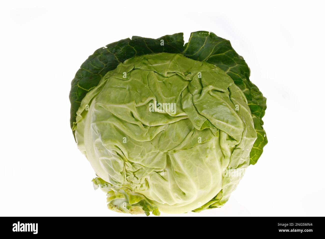 Cabbage patch on the white background, close-up pictures Stock Photo ...