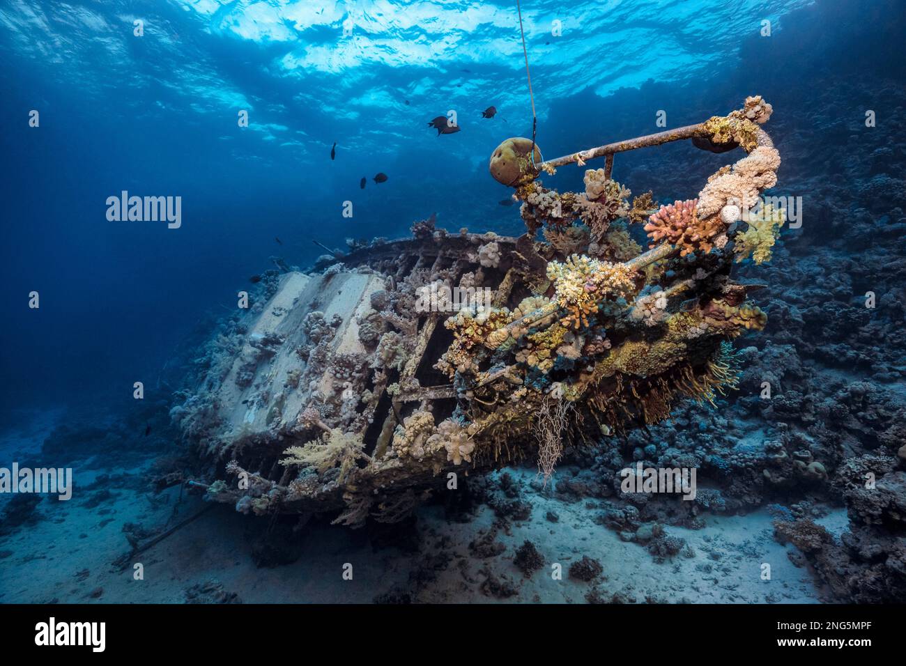 sailboat shipwreck, Abu Galawa, Wadi Gimal, Egypt, Red Sea, Indian ...