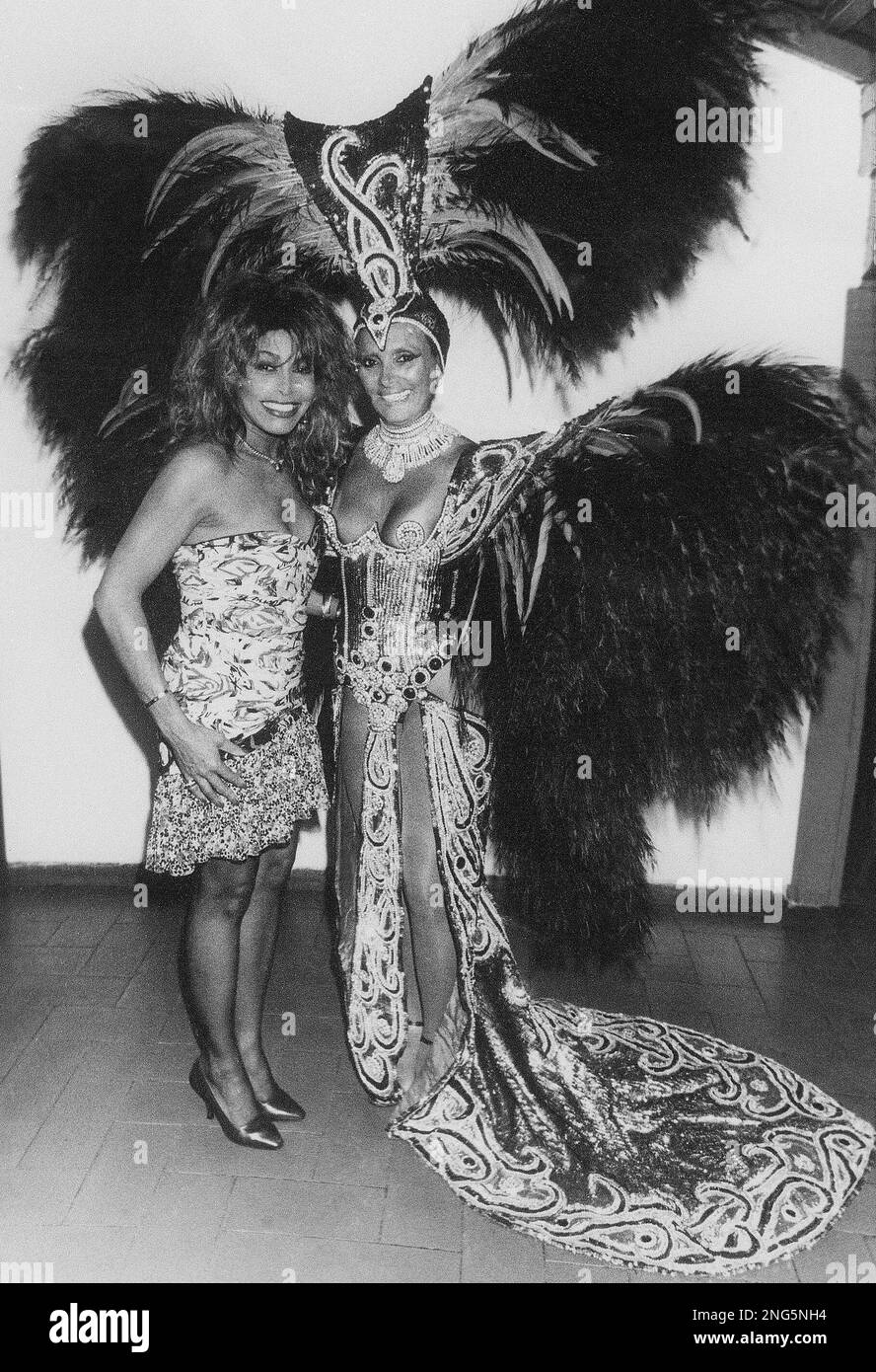 U.S. rock star Tina Turner poses during rehearsal, January 14, 1988 ...