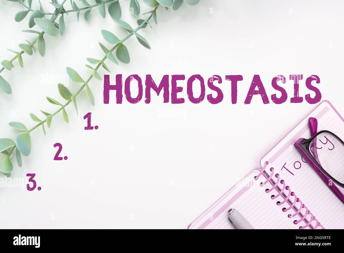 Writing displaying text Homeostasis. Conceptual photo the tendency ...