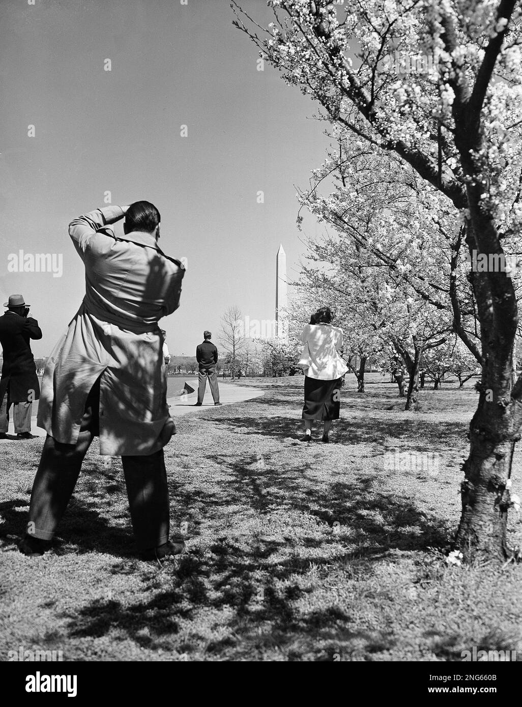 camera enthusiasts down along the Tidal Basin in Washington, D.C.to ...