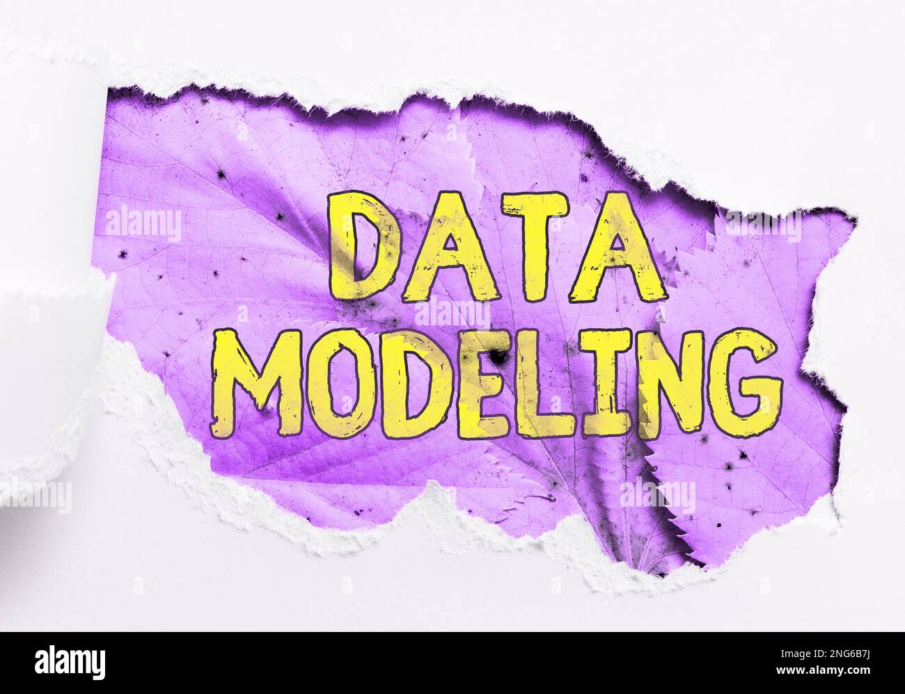 Conceptual display Data Modeling. Word for process of transferring data between data storage ...