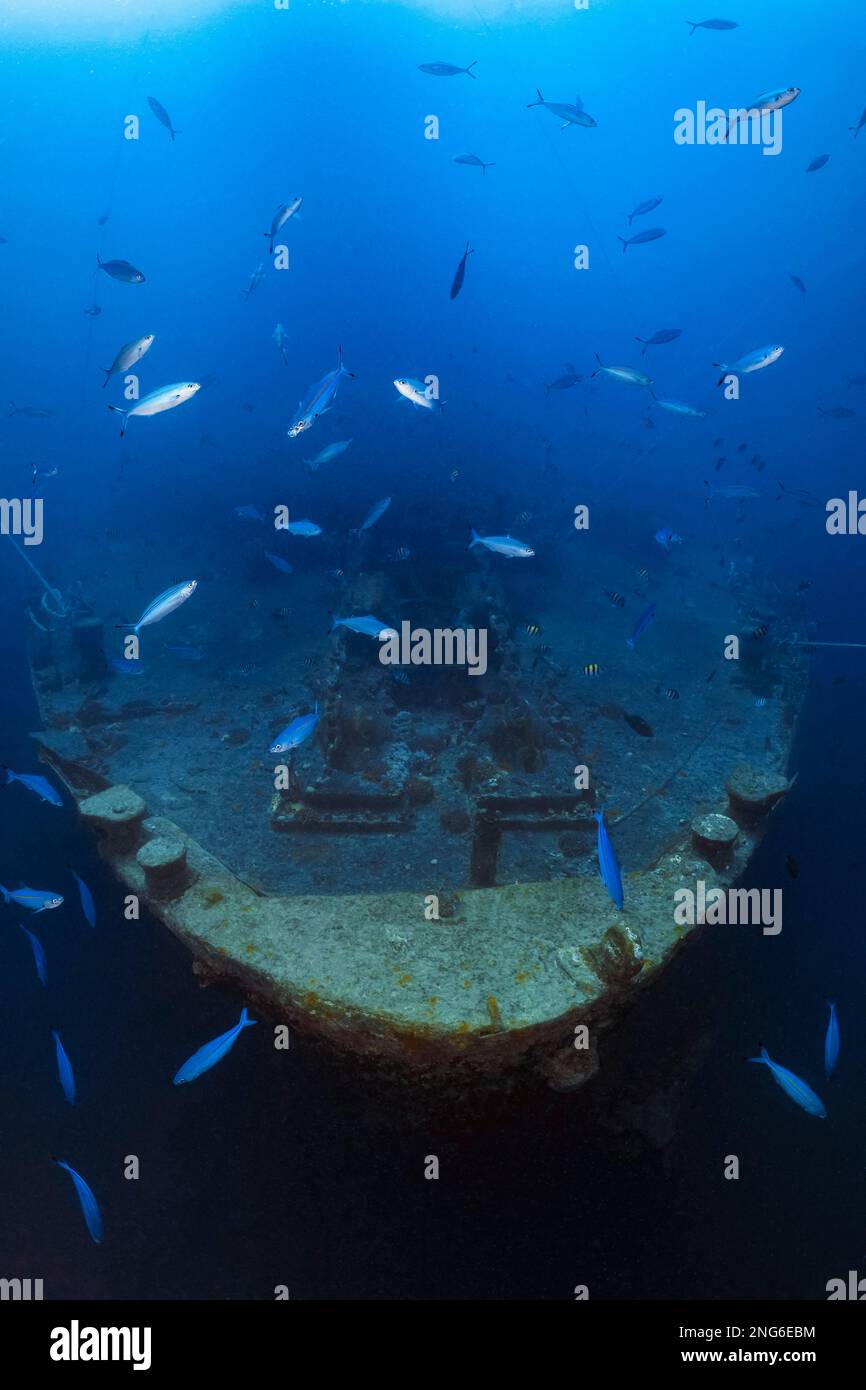 SS Thistlegorm shipwreck, a British cargo steamship sunk by German ...