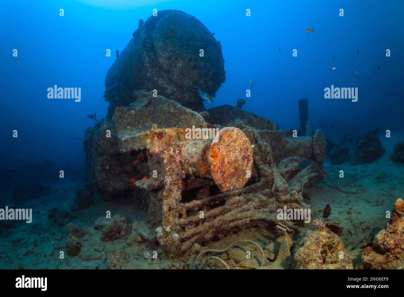 SS Thistlegorm shipwreck, a British cargo steamship sunk by German ...
