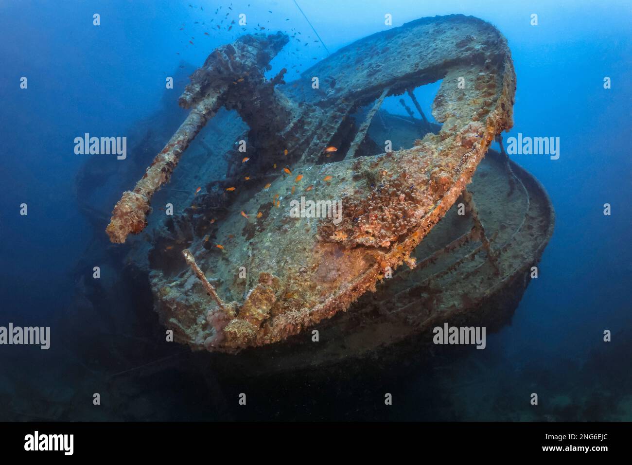 SS Thistlegorm shipwreck, a British cargo steamship sunk by German ...