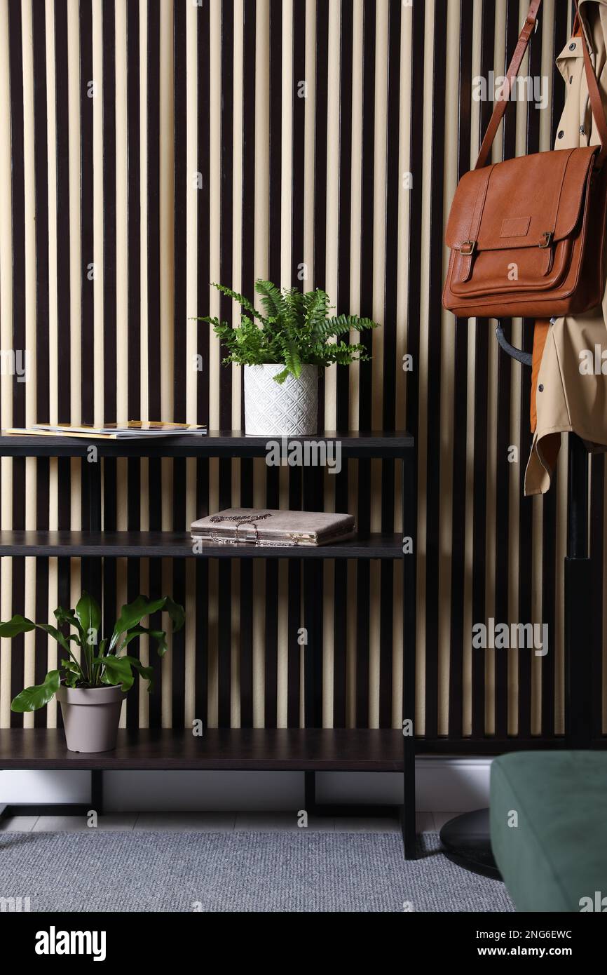 Beautiful ferns on table and clothes rack near striped wall Stock Photo ...