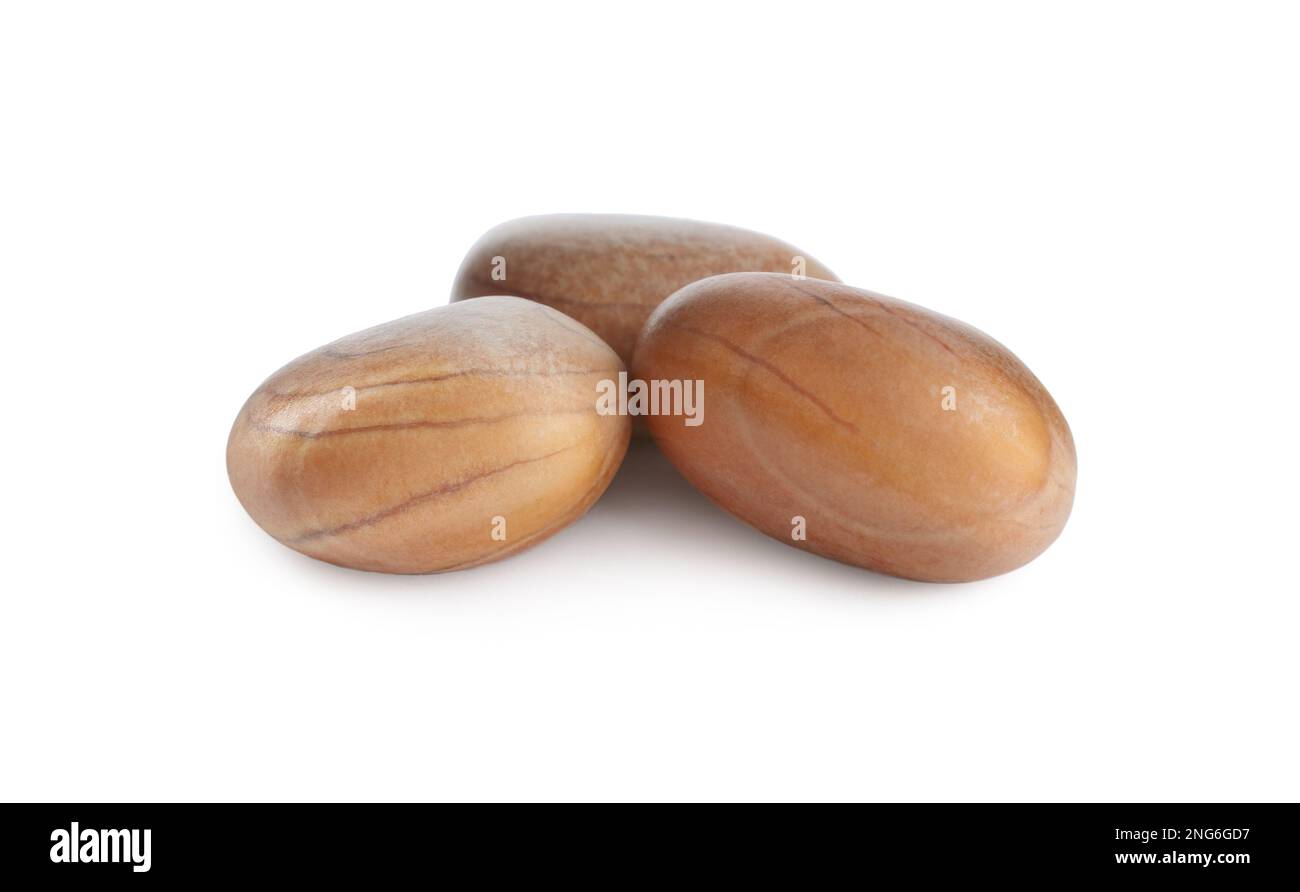 Fresh raw jackfruit seeds on white background Stock Photo - Alamy
