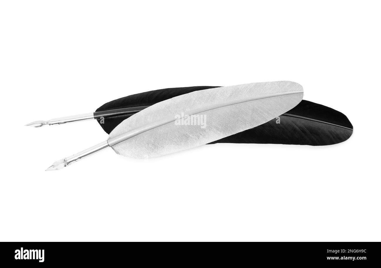 Feather pens on white background, top view Stock Photo - Alamy