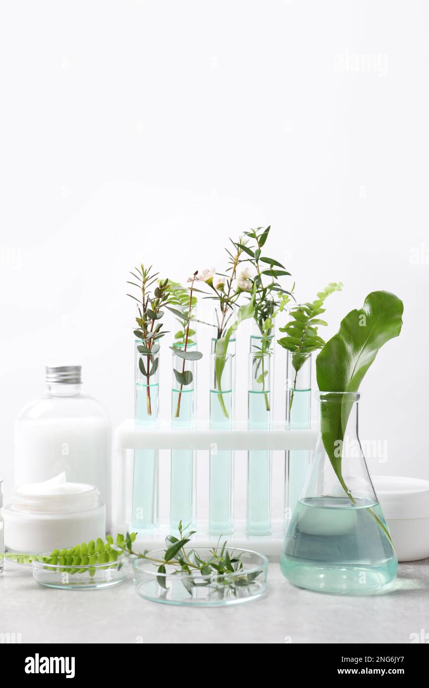 Natural ingredients and laboratory glassware for organic cosmetic ...