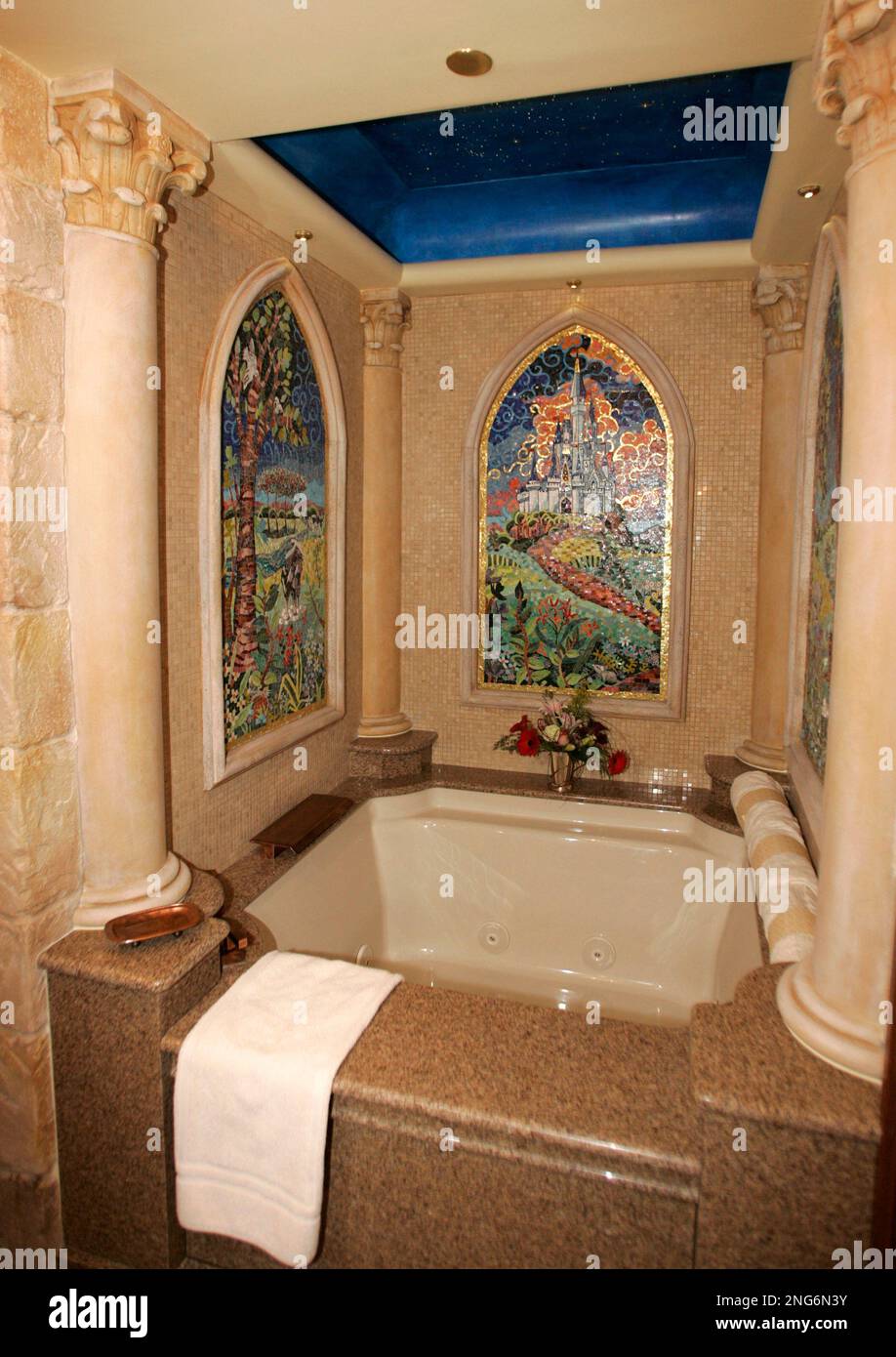 Disney World Castle Inside Bathroom