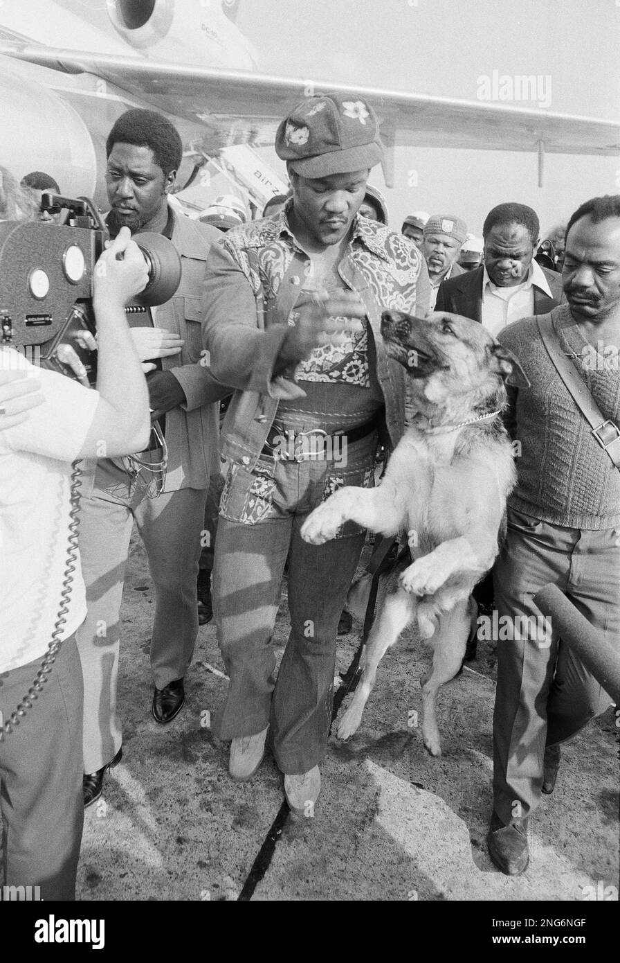 George Foreman leads his German Shephard dog from the Air Zaire, DC-10 ...