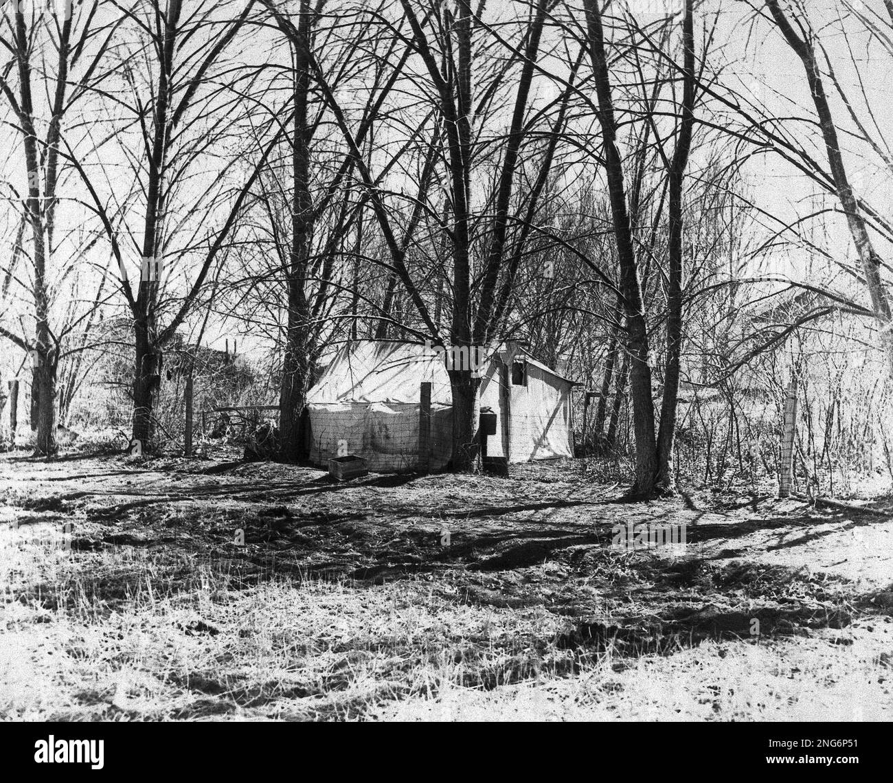 This is the home of Earl Durand, seen March 25, 1939, near Cody ...