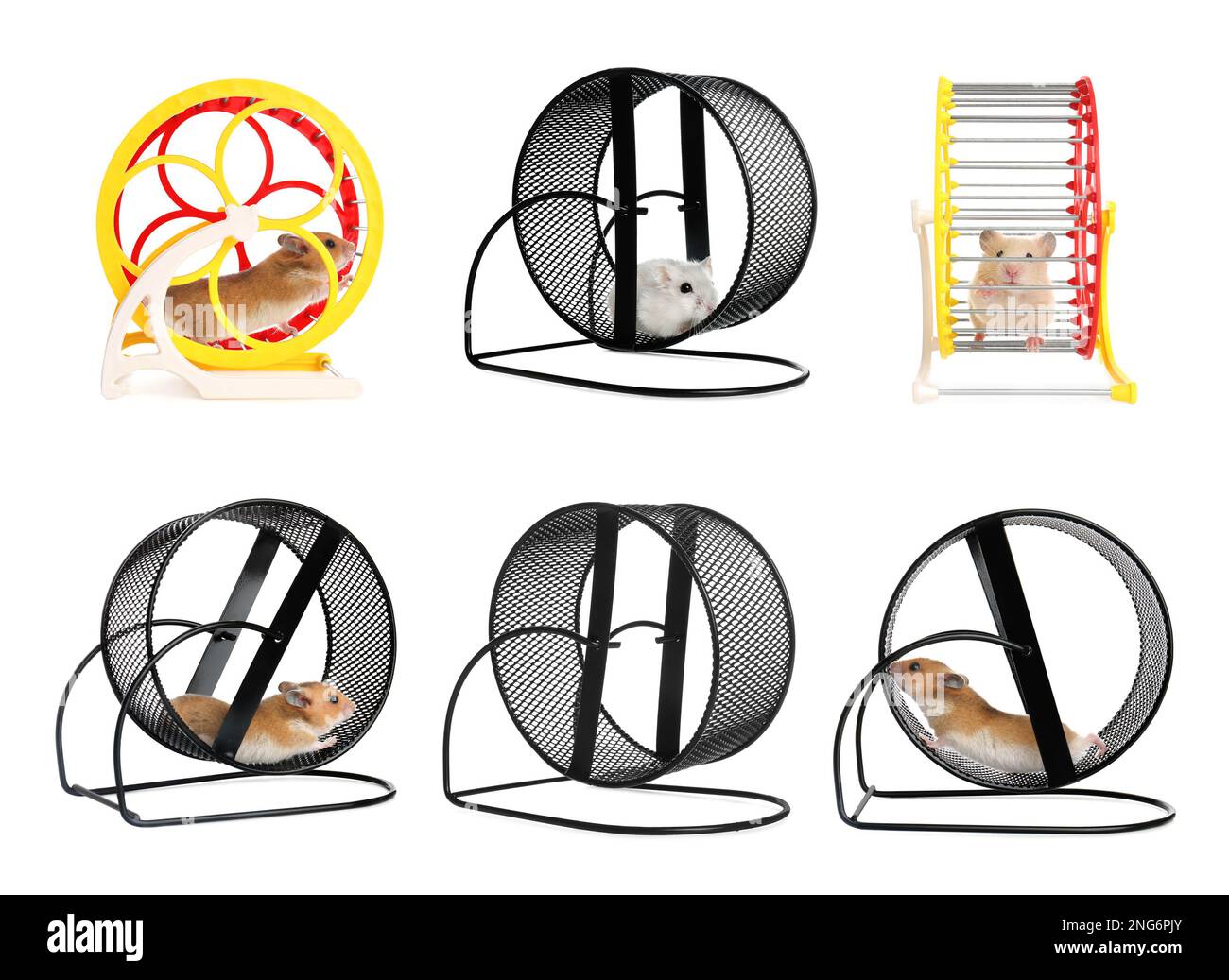 Cute funny hamsters running in wheels on white background, collage ...